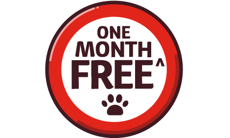 Pet Insurance | Coles Insurance