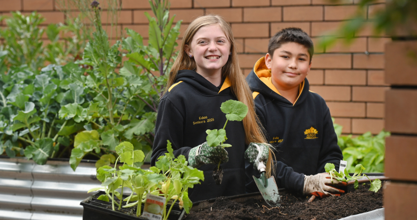 Coles & Planet Ark Sustainable Schools Competition | Coles