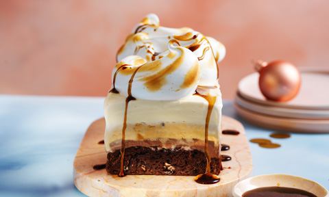 Mocha Ice Cream Meringue Cake Recipe | Coles
