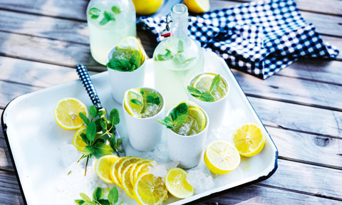 Easy Lemonade Spritzer Recipe | Coles
