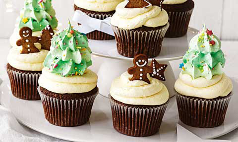 Spiced Christmas Cupcakes Recipe | Coles